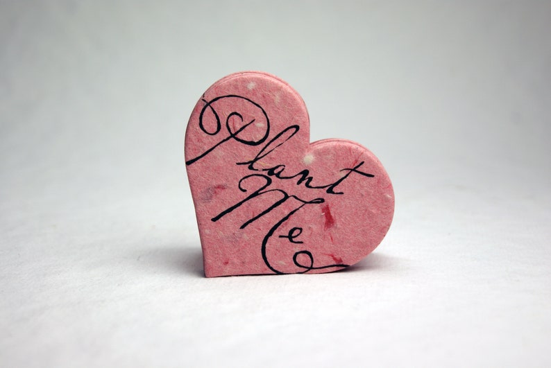 Large plant Me Recycled Pink Seed Paper Hearts - Etsy