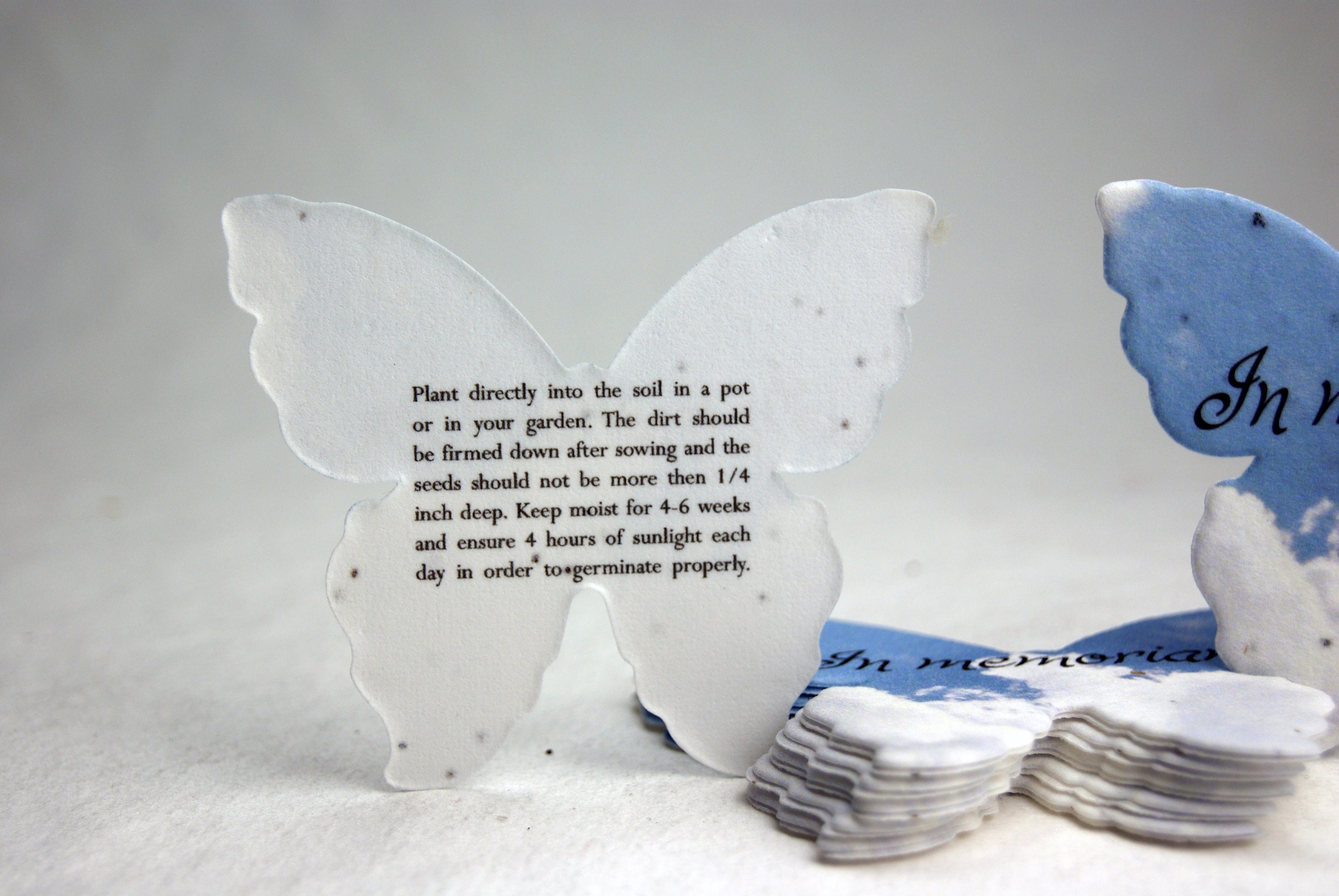 Large in Memoriam Seed Paper Butterflies 3w - Etsy