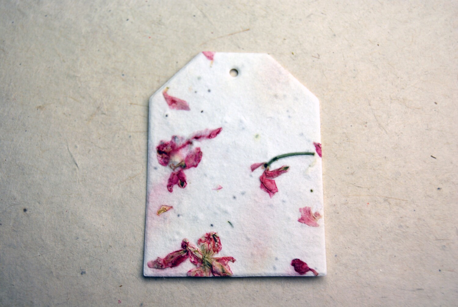 Pink Flower Petal Seed Paper Tags 2.5 Wide by - Etsy
