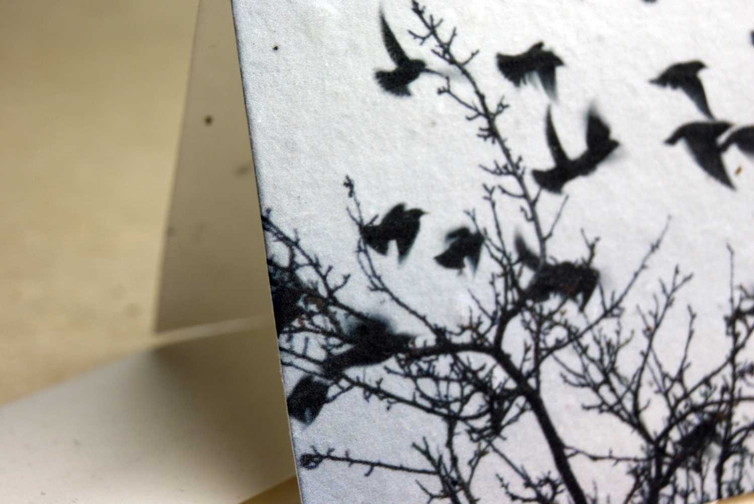 Seed Paper Birds Print Recycled Cotton Blank Notecard Set - Etsy