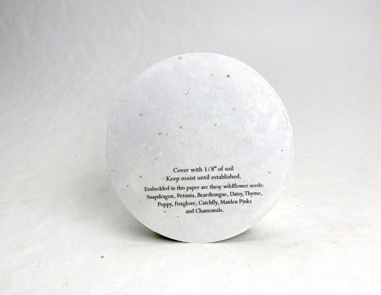 Plant Me Seed Paper Large Circles 3.25 Diameter White | Etsy