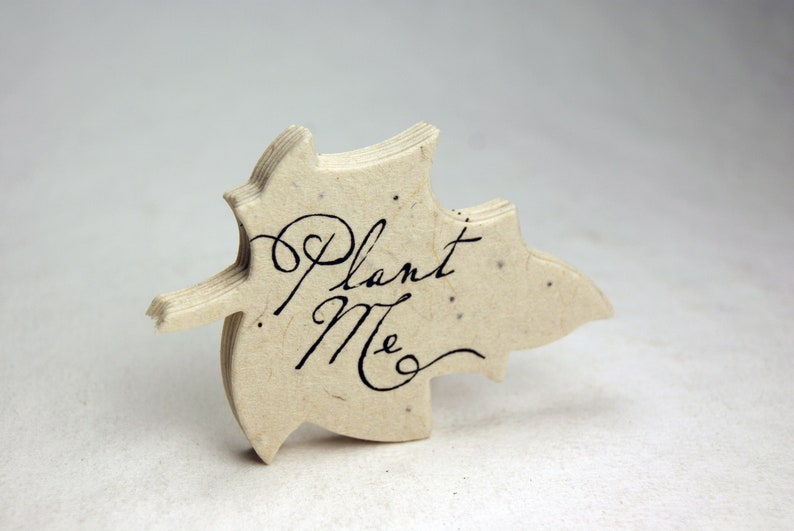 Plant Me Leaf Seed Paper Shape 3 X 2 Wildflower - Etsy