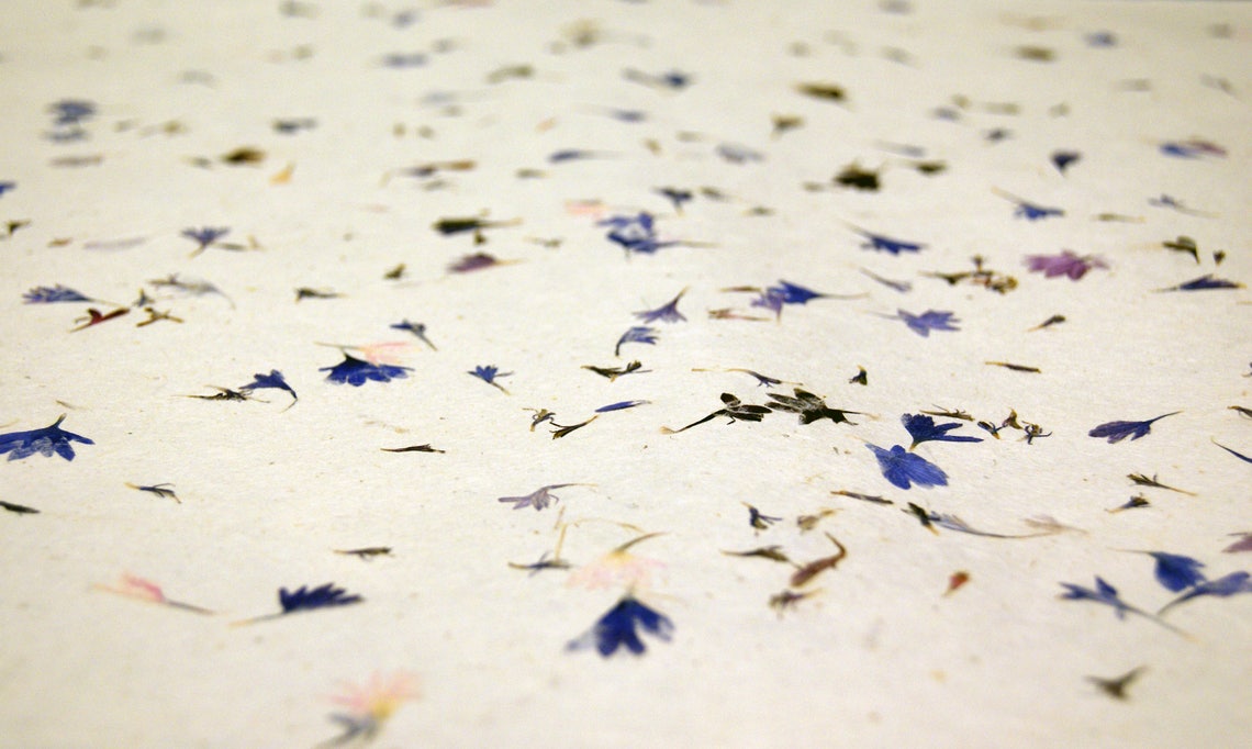 Pressed Flower Petal handmade Wrapping Paper gift wrap 3 | Etsy