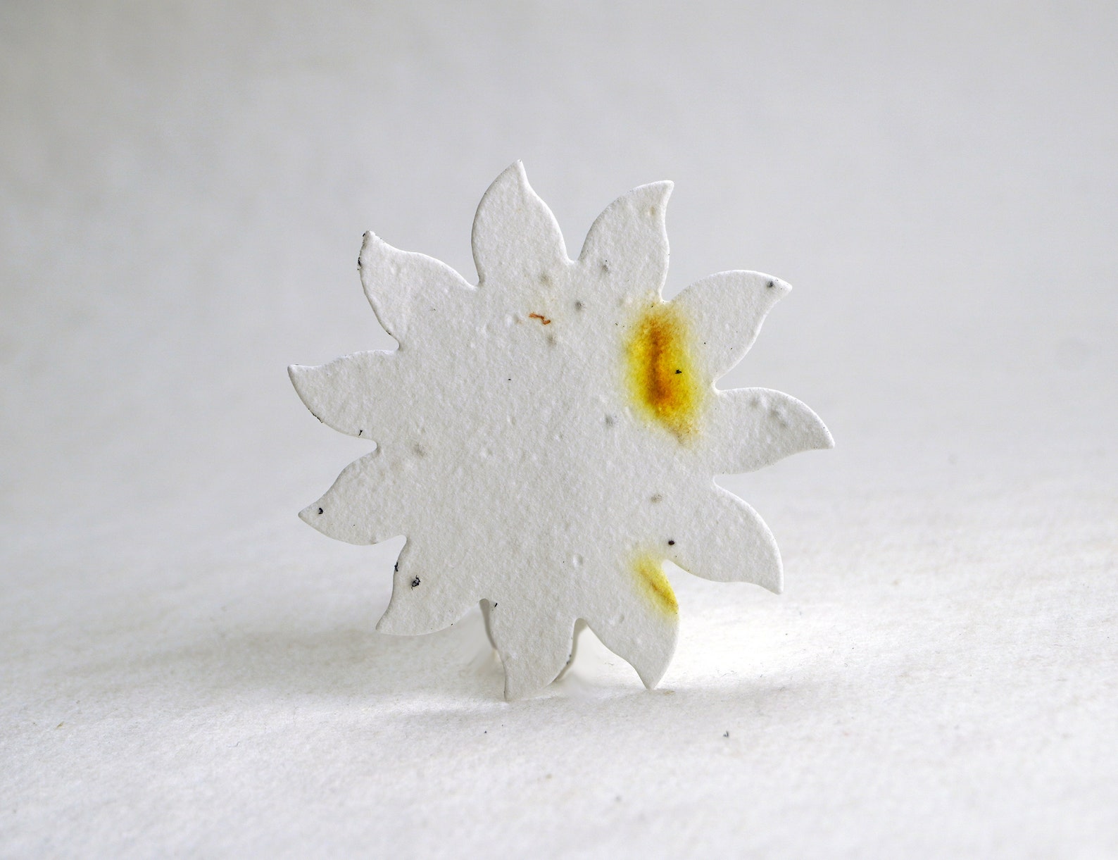 Seed Paper Flower Shapes | Wildflower Seeds | Cotton Shapes for ...