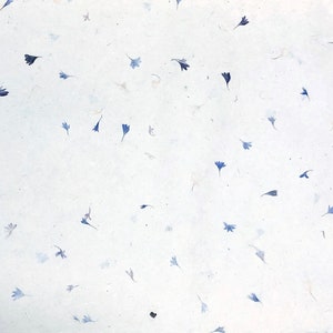 Pressed Flower Petal Handmade Wrapping Paper Gift Wrap Natural Blue ...