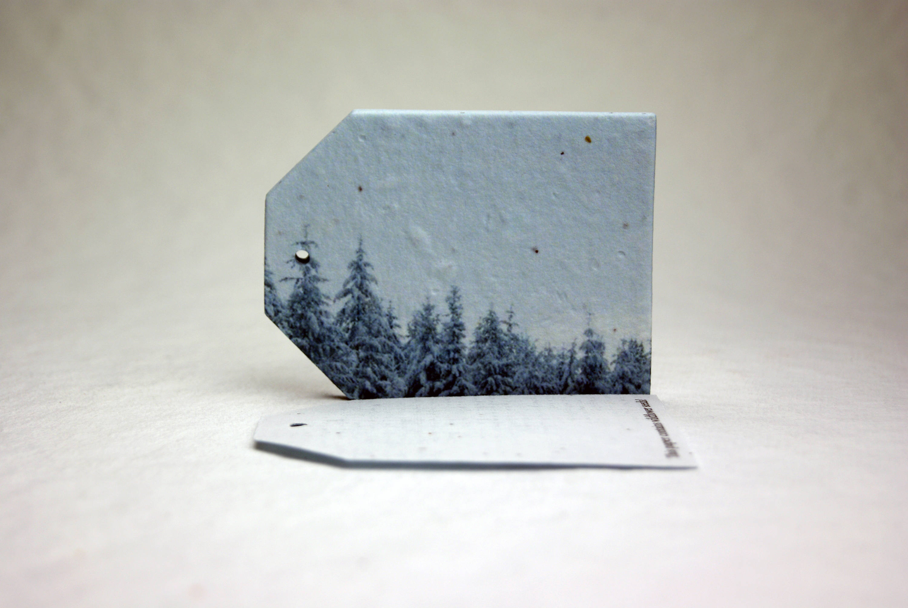Winter Trees Large Tags 2.5" Wide by 3.375" Tall Wildflower Seed ...