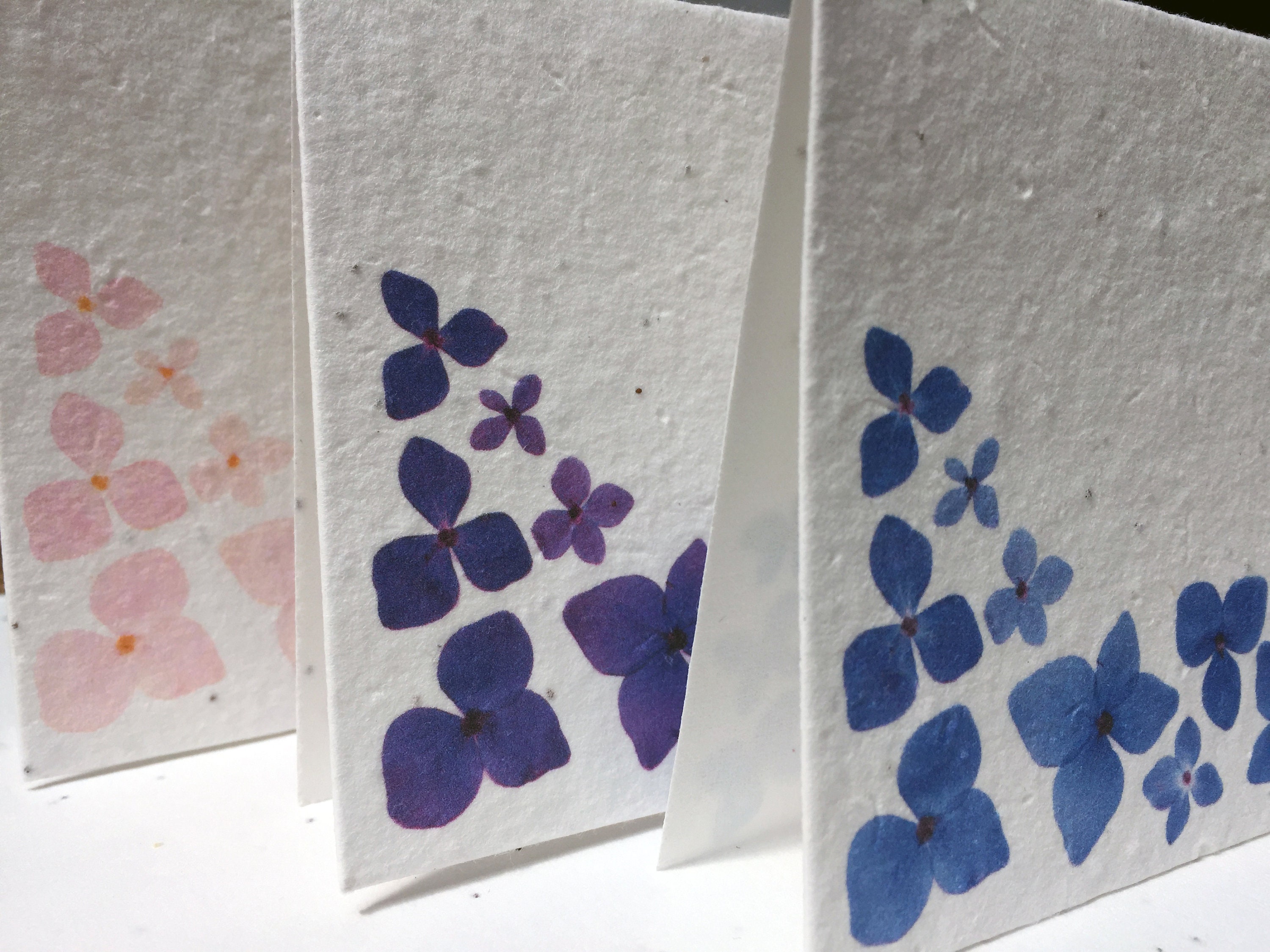 Mixed Hydrangea Seed Paper Print Recycled Cotton Blank - Etsy