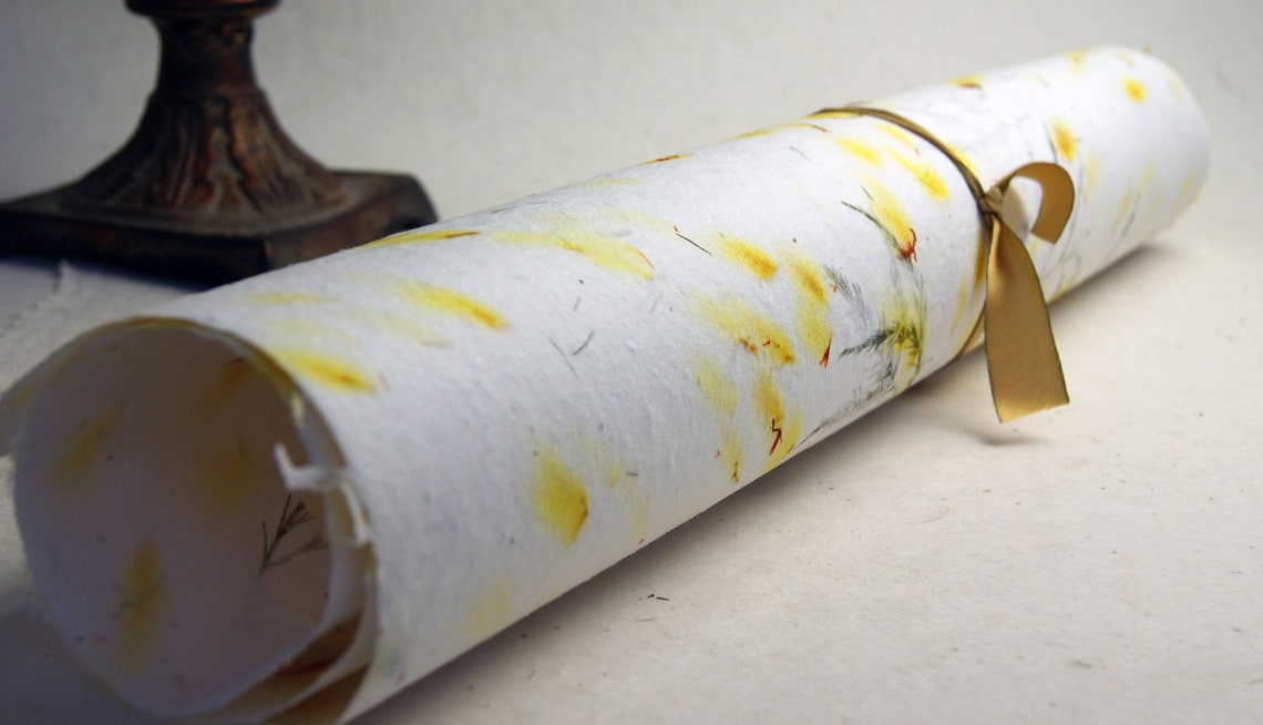 Handmade Seed Paper With Tree Fern Branch and Safflower - Etsy