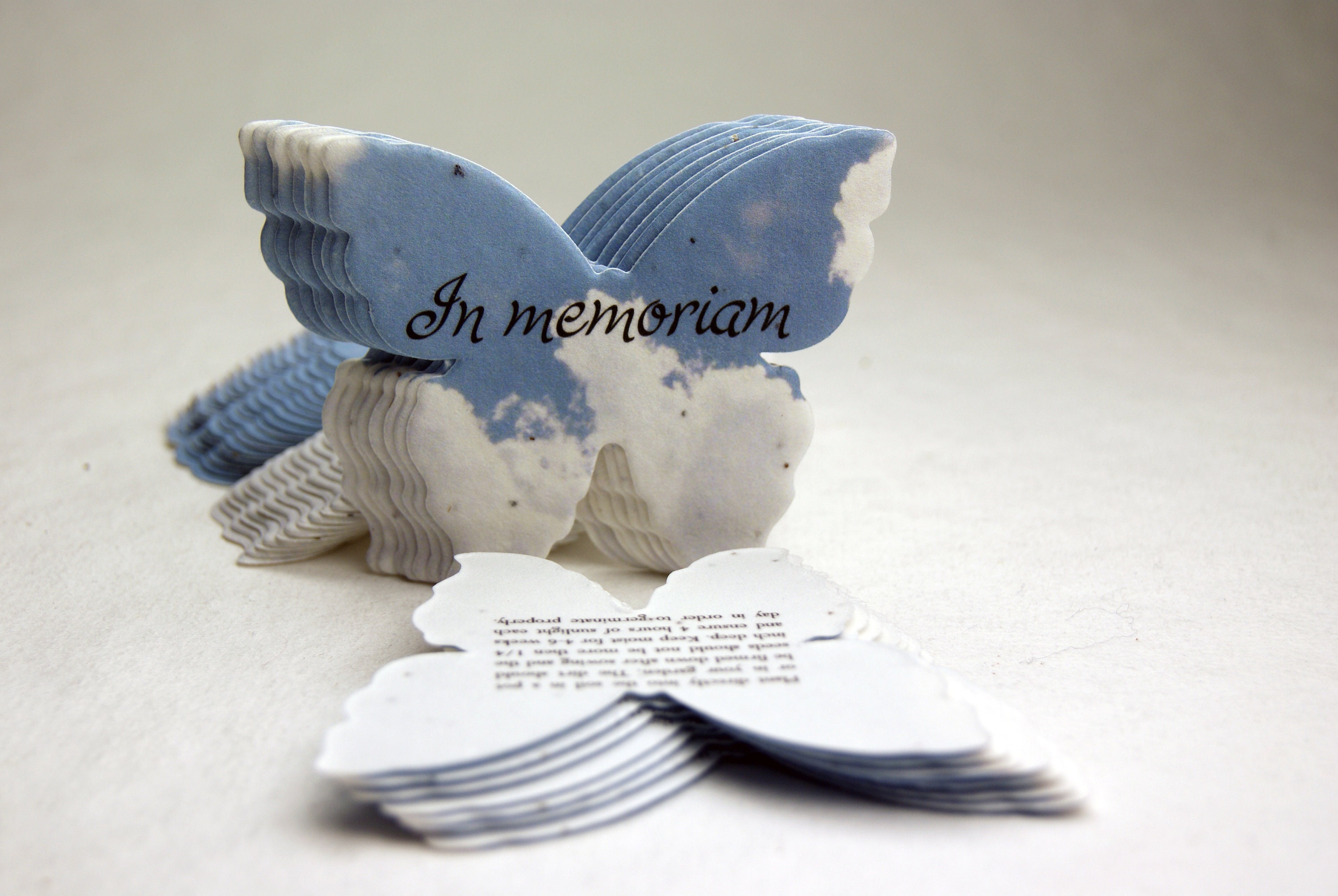 Large in Memoriam Seed Paper Butterflies 3w - Etsy
