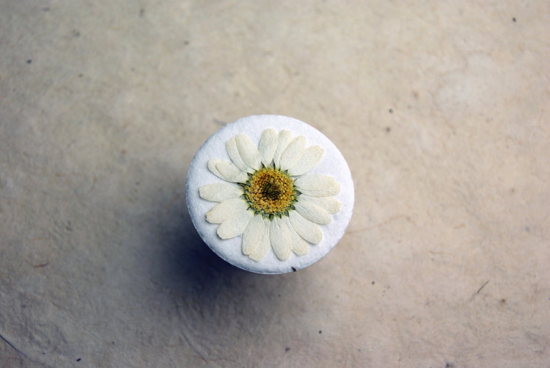 Mini Daisy 1.5" Real Pressed Flower Decorating Stickers - Pack of 12 - Etsy