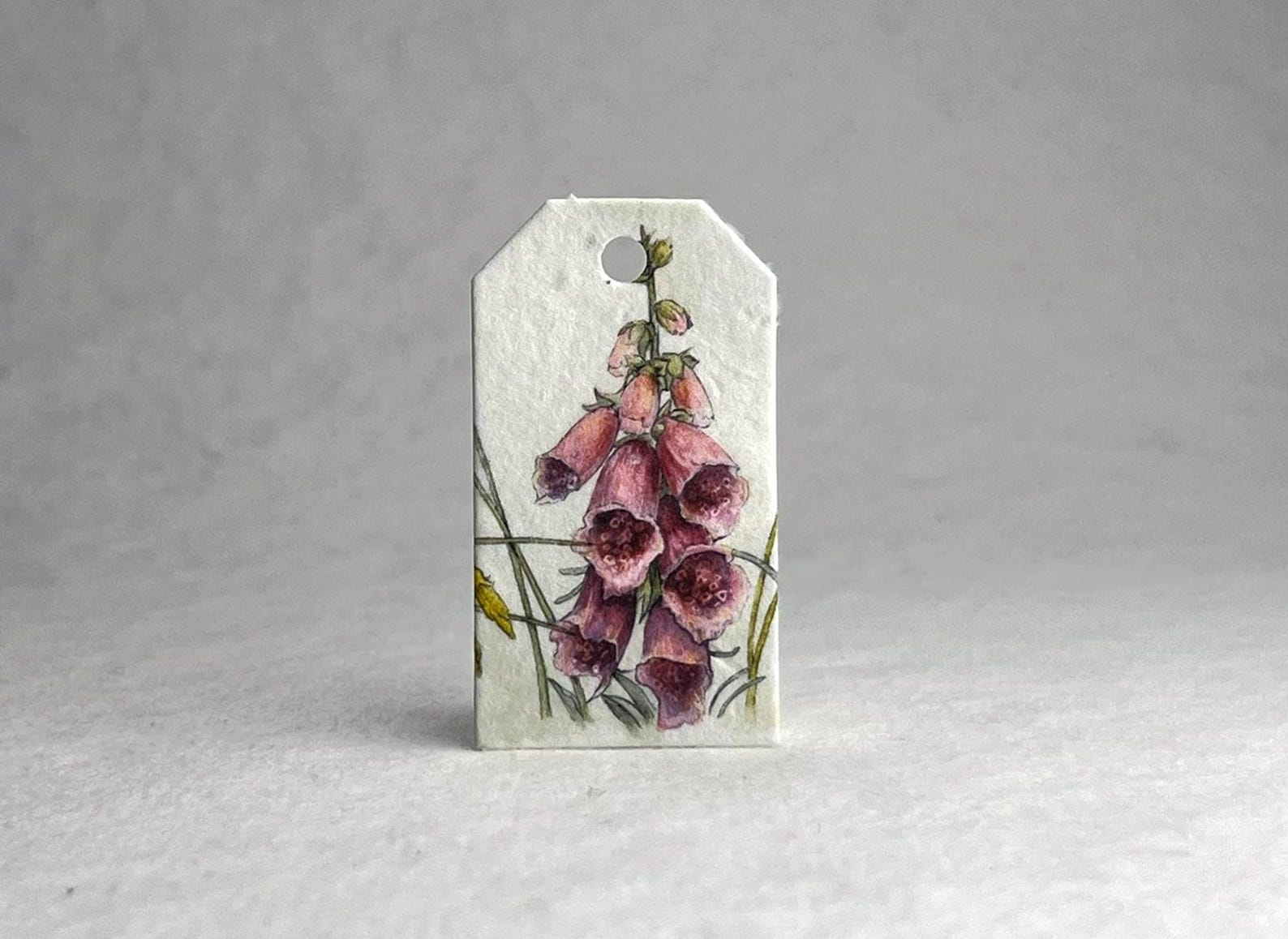 Seed Paper Gift Tag Flower Print Wedding Favor Memorial Set of 20 Tiny ...