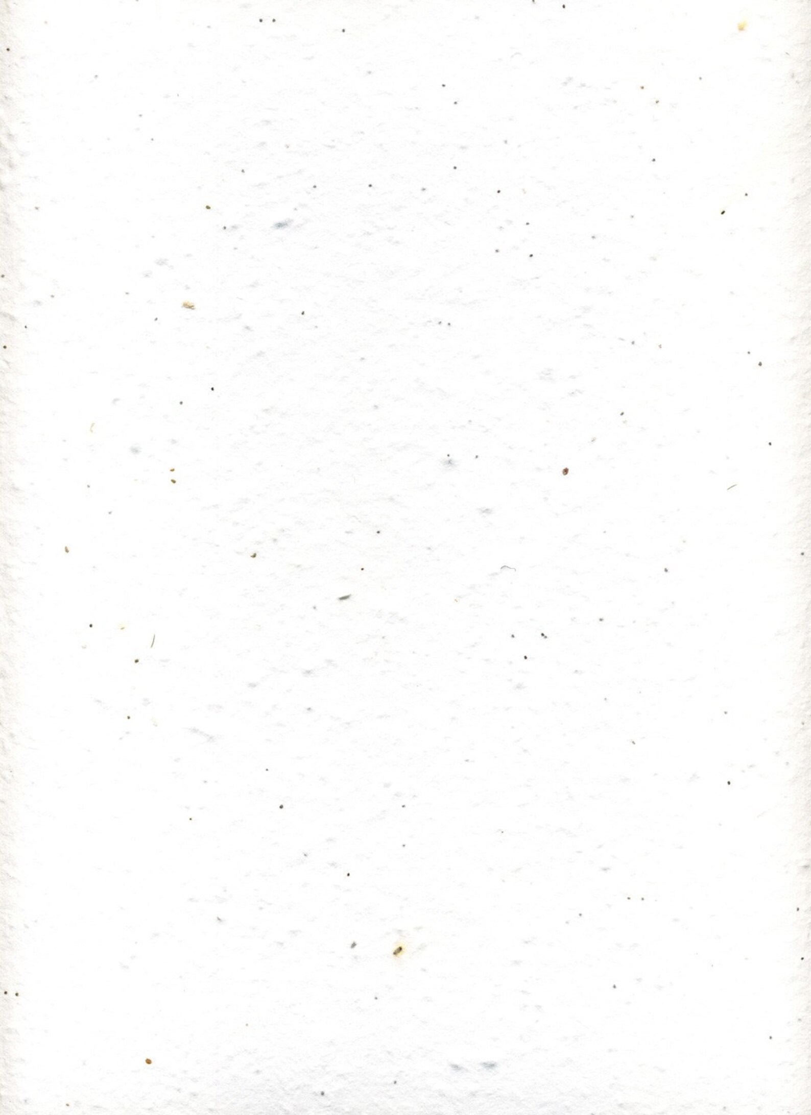 White Cotton Handmade Paper With Embedded Wildflower Seeds 3 Sheets 18 ...