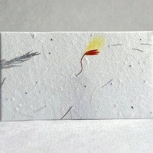 Bulk Set of 96 Handmade Seed Paper With Petals and Wildflower Seeds - 3 ...