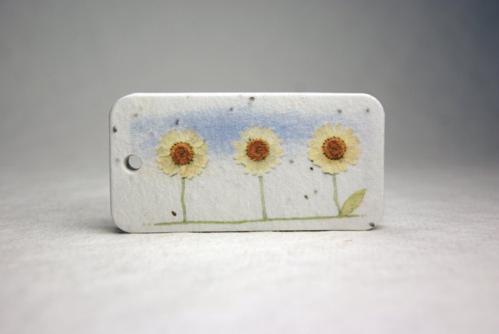 Custom Personalized Seed Paper Gift Tag Add Your Message - Etsy