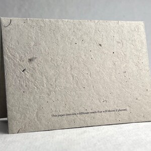 Seed Paper Hazel's Garden Art Cards | Blank Inside | Recycled Lotka ...