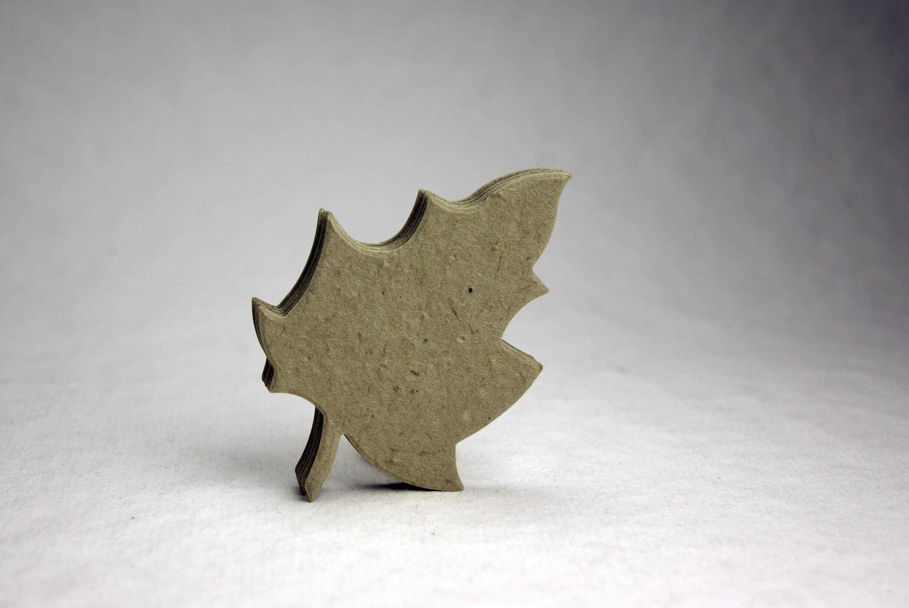 Green Leaf Seed Paper Shape 3" X 2" Wildflower Lotka Recycled Fibers ...