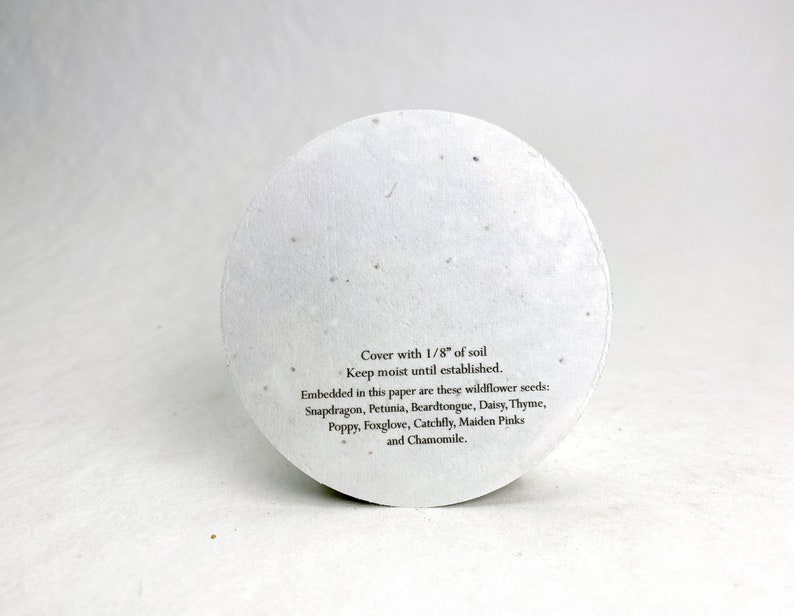 Custom Personalized Large Seed Paper Circles 3.25 - Etsy