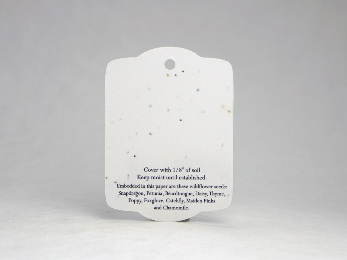 Seed Paper Gift Tags Blue Watercolor Design 3.25 wide by | Etsy