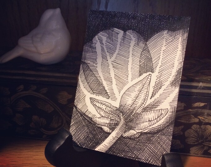 Original Pen and Ink ACEO Flower Art Card Blossom - Etsy