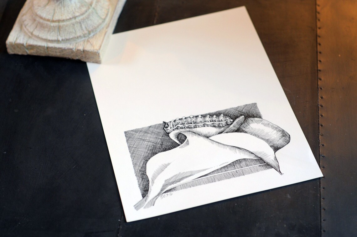 Original 7 X 5 Pen and Ink Crosshatch Drawing on - Etsy