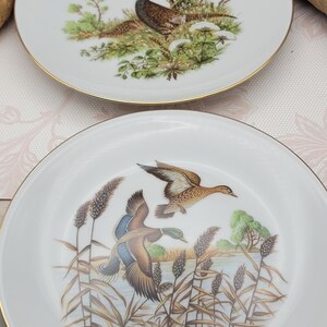 Pheasant and Duck Plate Set, Bavaria, Vintage - Etsy