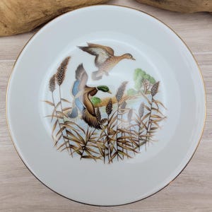 Pheasant and Duck Plate Set, Bavaria, Vintage - Etsy