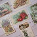 Antique Birthday Postcard Lot Early 1900s - Etsy