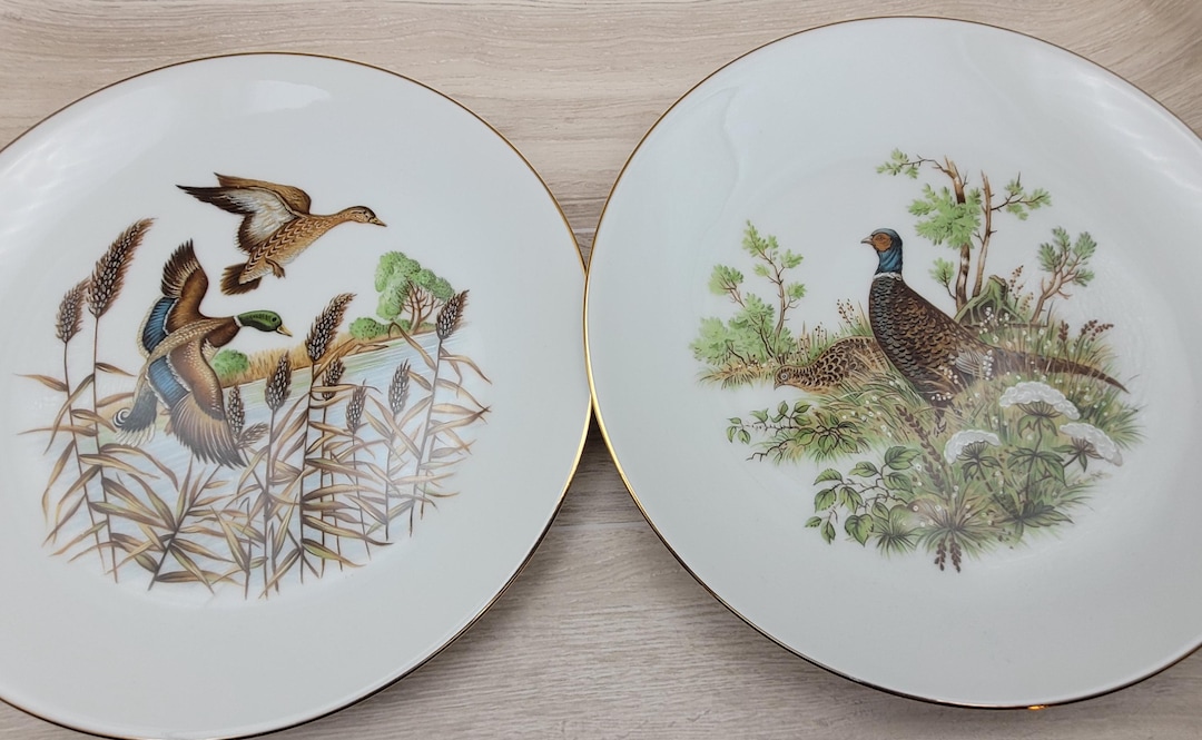 Pheasant and Duck Plate Set, Bavaria, Vintage - Etsy