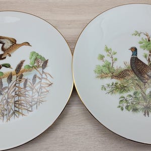 Pheasant and Duck Plate Set, Bavaria, Vintage - Etsy