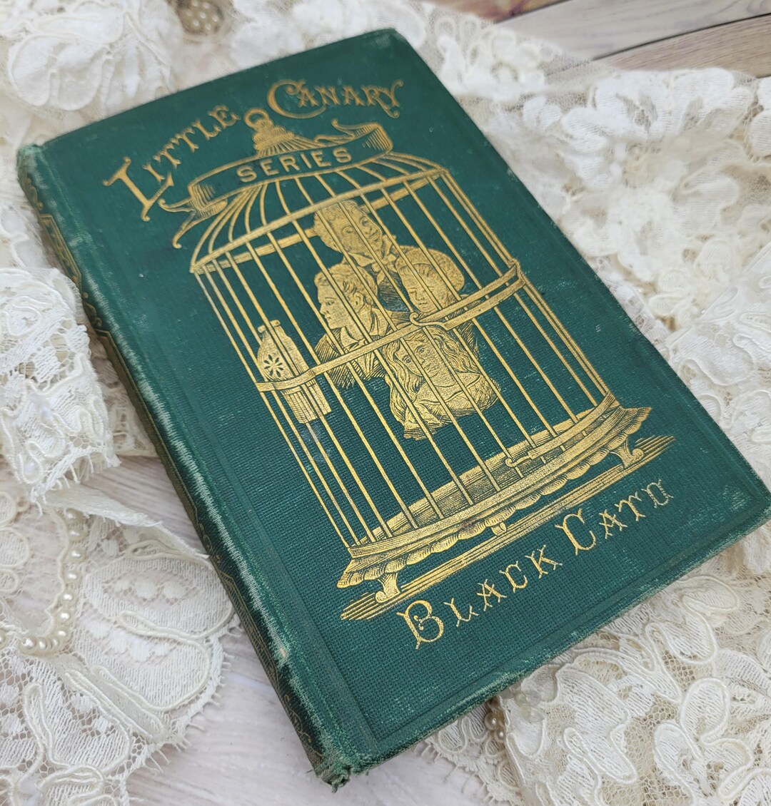 Antique Book, Little Canary Series, 1873, Black Cato, Vintage Green ...
