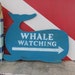 Whale Watching Sign. Wood Whale Sign. Beach Decor. Nautical Decor ...