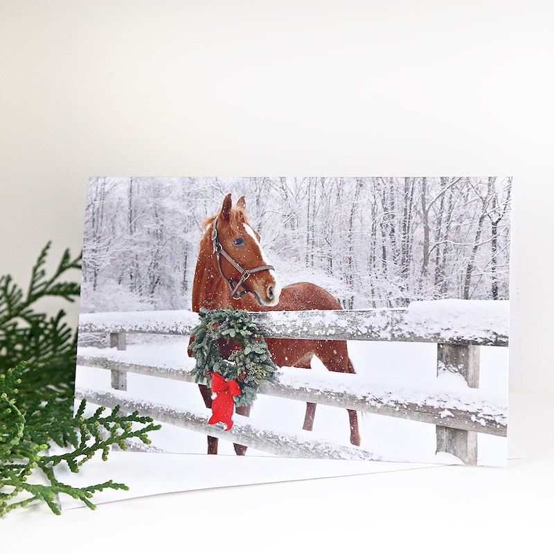 Horse Christmas Card - Etsy