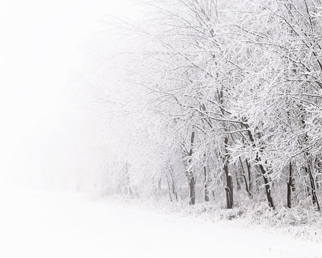 Winter Landscape Photo Snowy Winter Print Farmhouse Wall - Etsy