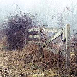 Fence Photo, Country Photography, Fence Print, Rustic Farmhouse Wall ...