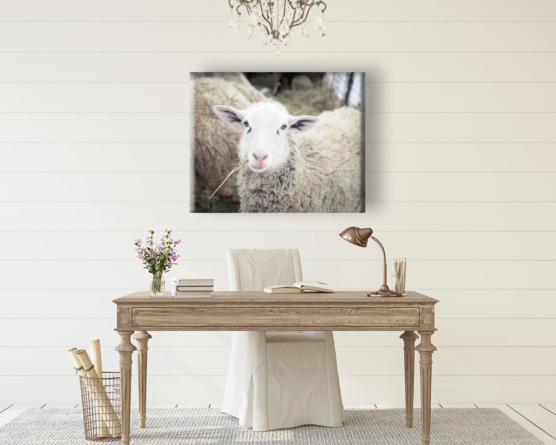 Sheep Print Farmhouse Wall Decor White Sheep Photo Farm - Etsy