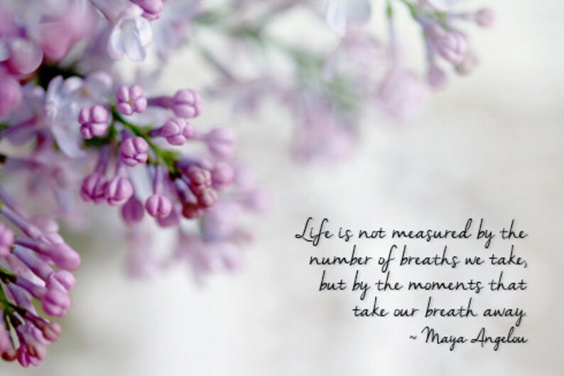 Purple Lilac Photograph Inspirational Quote Maya Angelou | Etsy