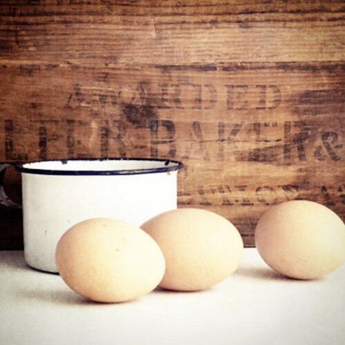 Egg Photo Farmhouse Kitchen Wall Decor Rustic Country Decor - Etsy