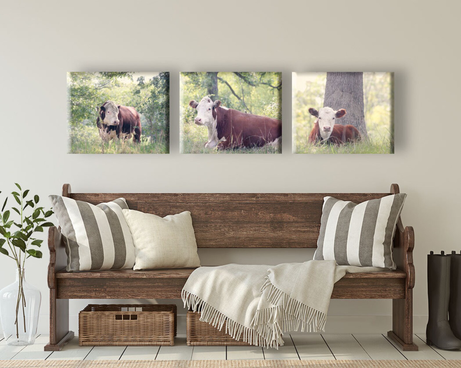 Cow Photograph Farmhouse Wall Decor Cow Photo Farm Animal | Etsy