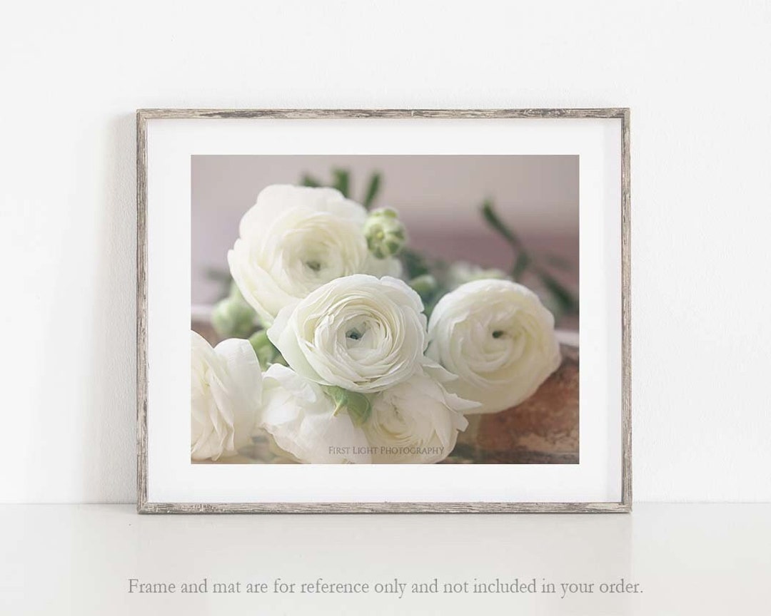 Ranunculus Print, Flower Photography, White Flower Photo, Spring Home ...