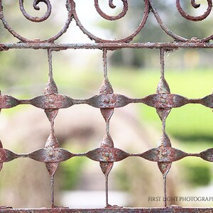 Modern Rustic Decor, Fence Photograph, Wrought Iron Wall Art, Rusty ...