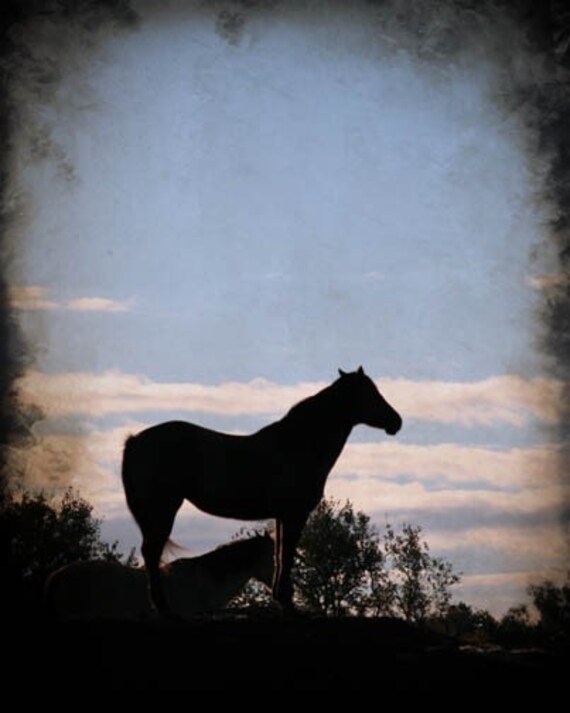 Items similar to Lone Steed - animal, country, farm, barn, mare ...