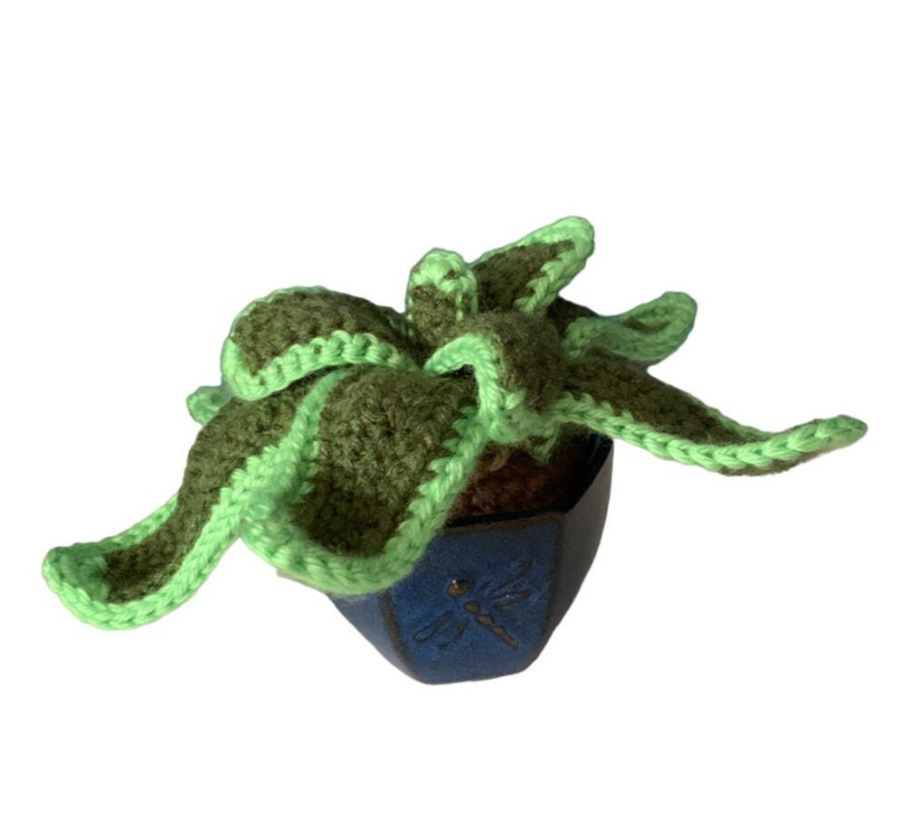Snake Plant - Crochet Pattern PDF Download - DIY Crochet Plant Tutorial ...