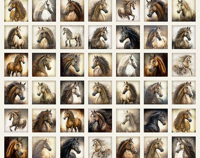 STALLION SONG horse Picture Patches Panel - Etsy