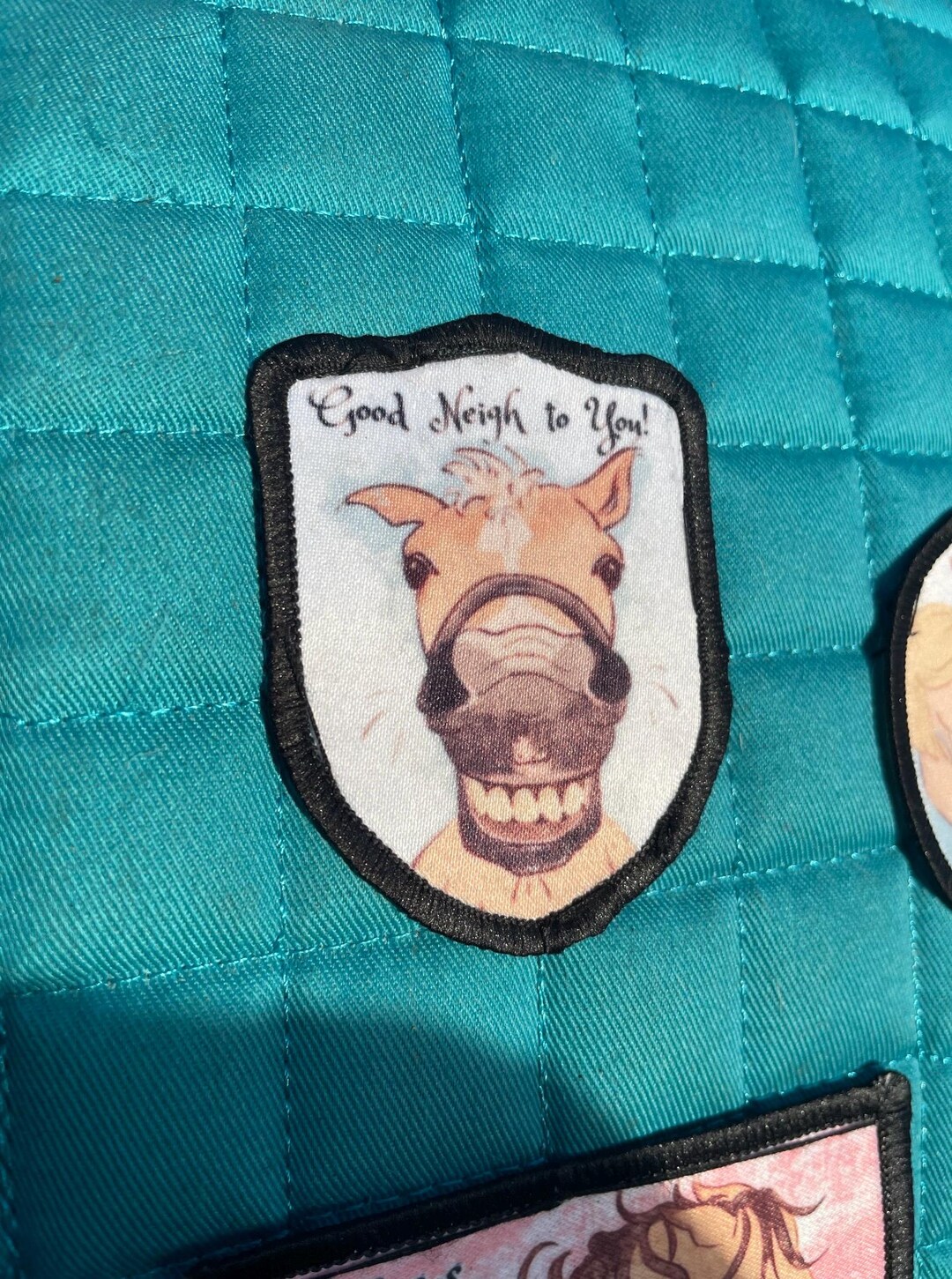 Personalized Equestrian Patch: "good Neigh to You!" Iron On/sew On - Etsy