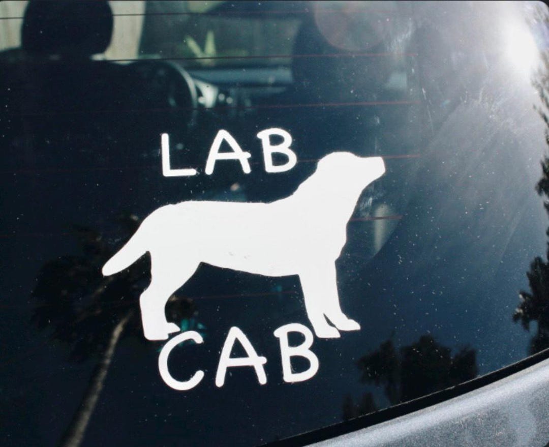 Lab Cab Car Decal - Etsy