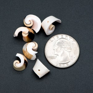 Natural Shell Beads, Irregular Shell Pendants, Sea/ Beach Jewelry Charm ...