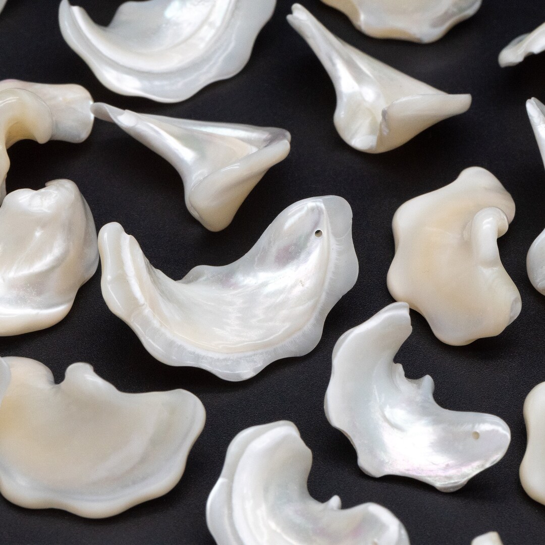 10pcs Natural Shell Charms, Unique Shaped Seashell Pendants V1405 - Etsy