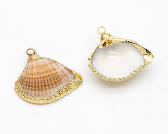 Mussel Shell Charms Seashell Earrings and Pendant Gold Tone Plated ...