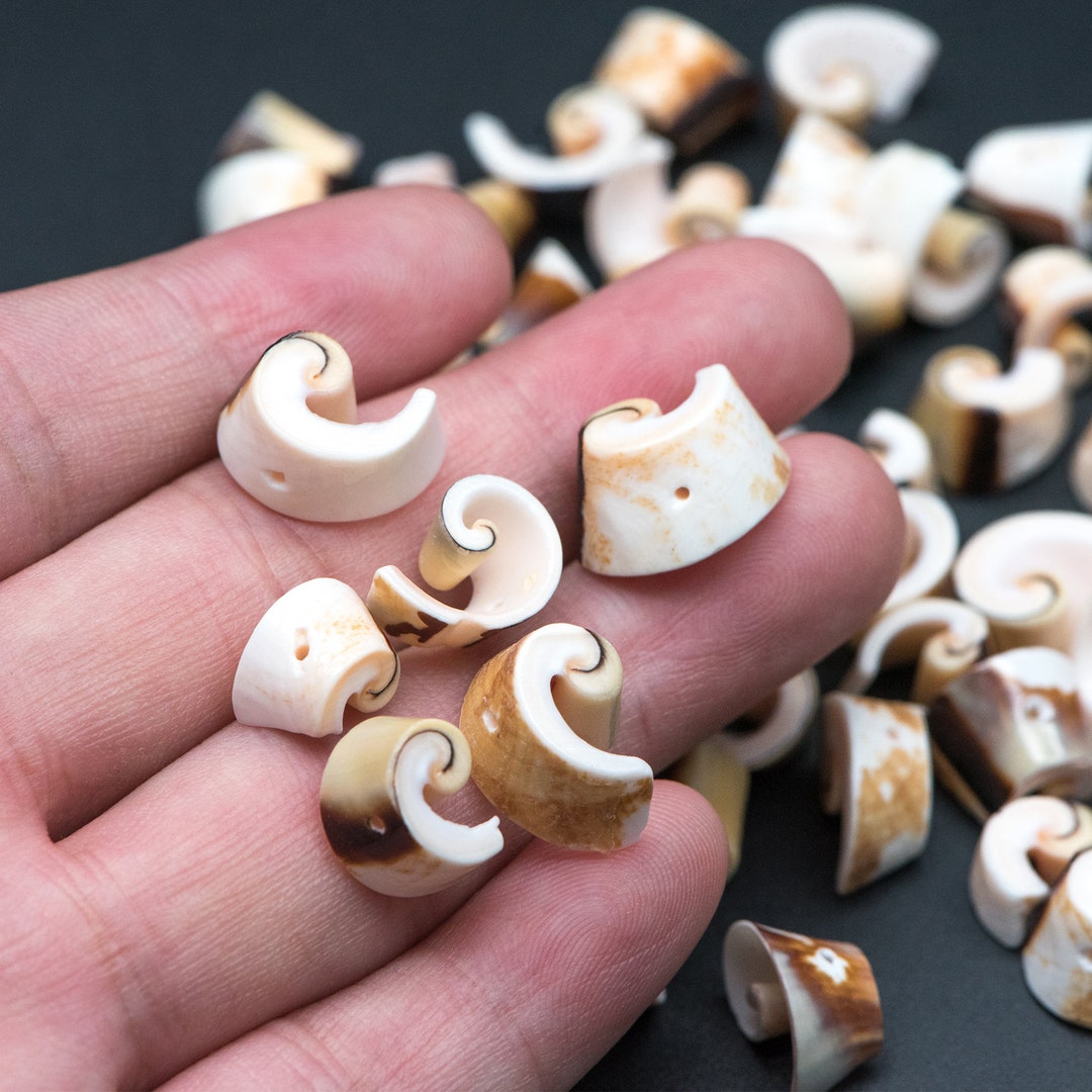 Natural Shell Beads, Irregular Shell Pendants, Sea/ Beach Jewelry Charm ...
