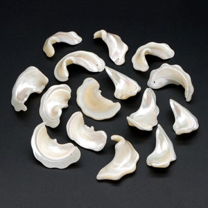 10pcs Natural Shell Charms, Unique Shaped Seashell Pendants V1405 - Etsy